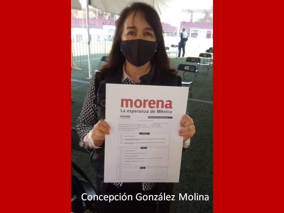 Concepción González, Sobeida del Ángel Bandala y Germán Delon se anotan para buscar la ...